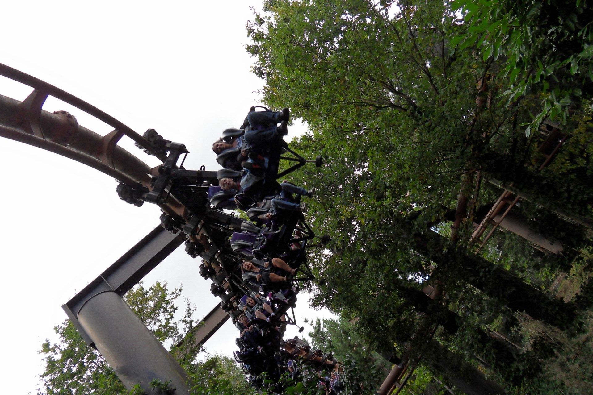 Auf Dragon's Fury durch Chessington South • Themeparkblogger